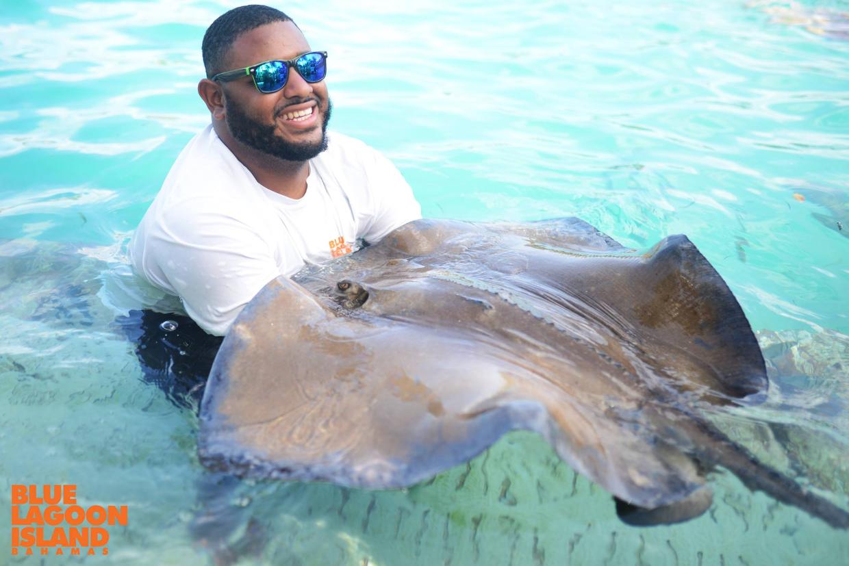 Dolphin Encounters – TripHock