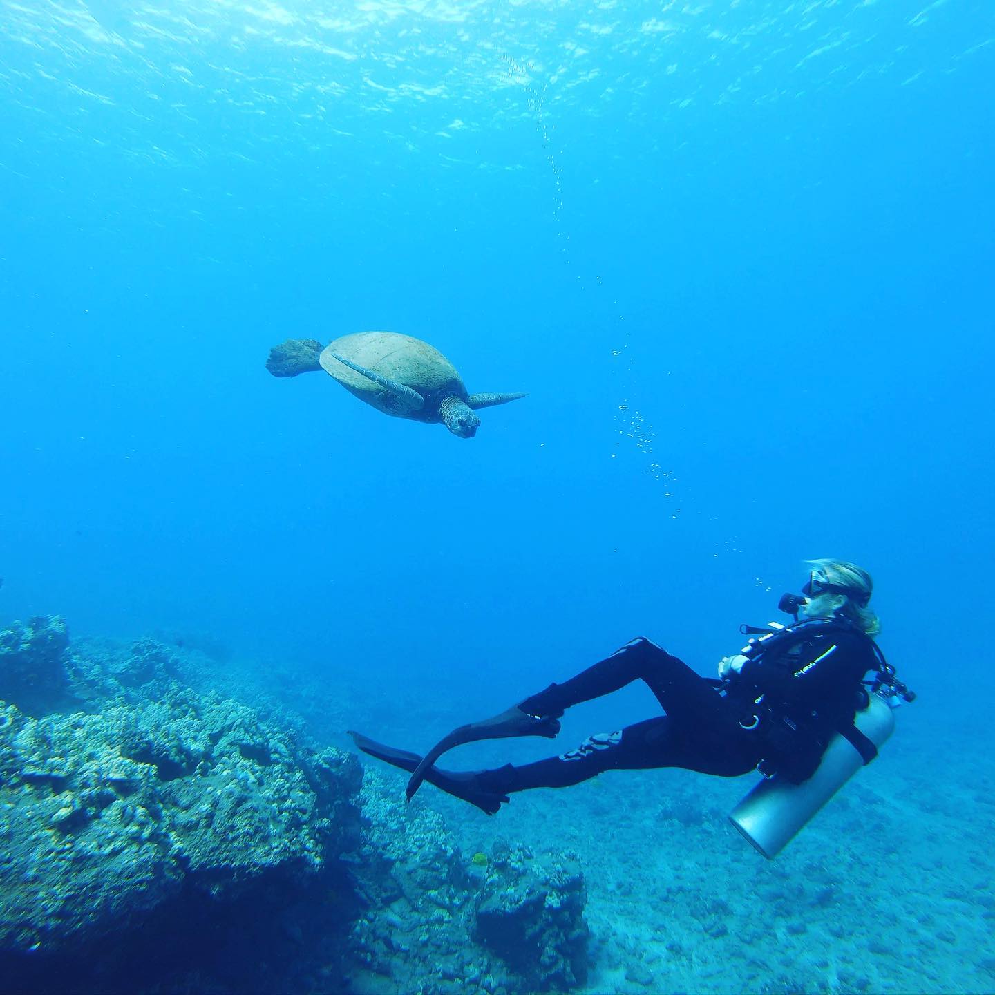 Maui Scuba Diving and Snorkeling Hawaii – TripHock