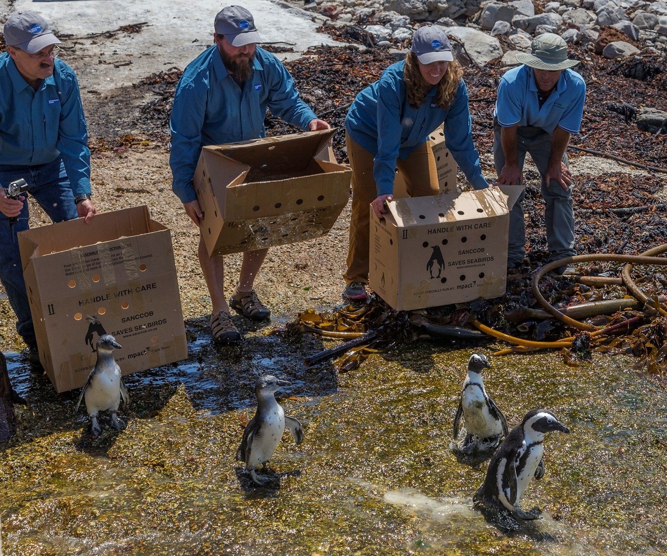 San Diego Zoo Wildlife Alliance – TripHock