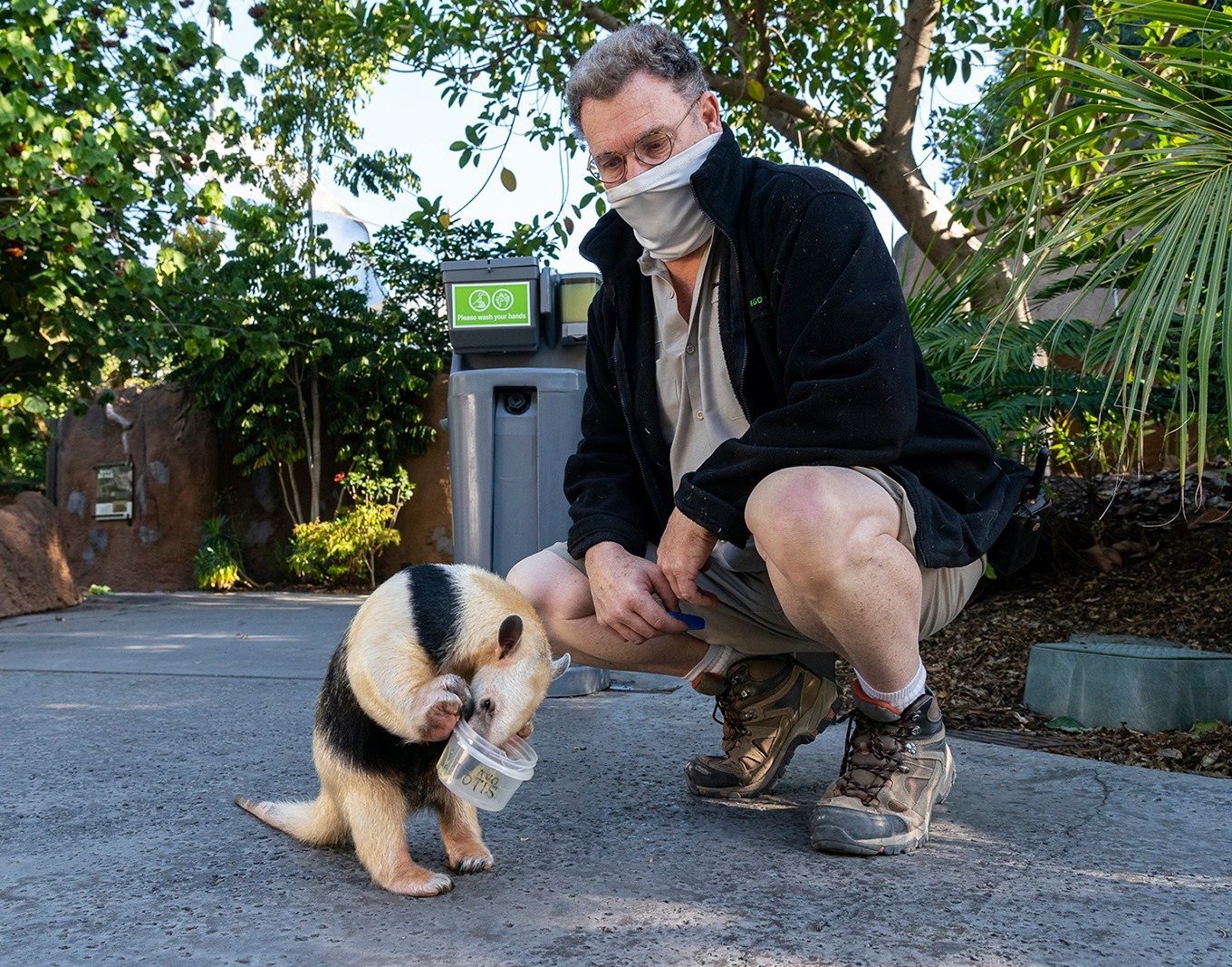 San Diego Zoo Wildlife Alliance – TripHock