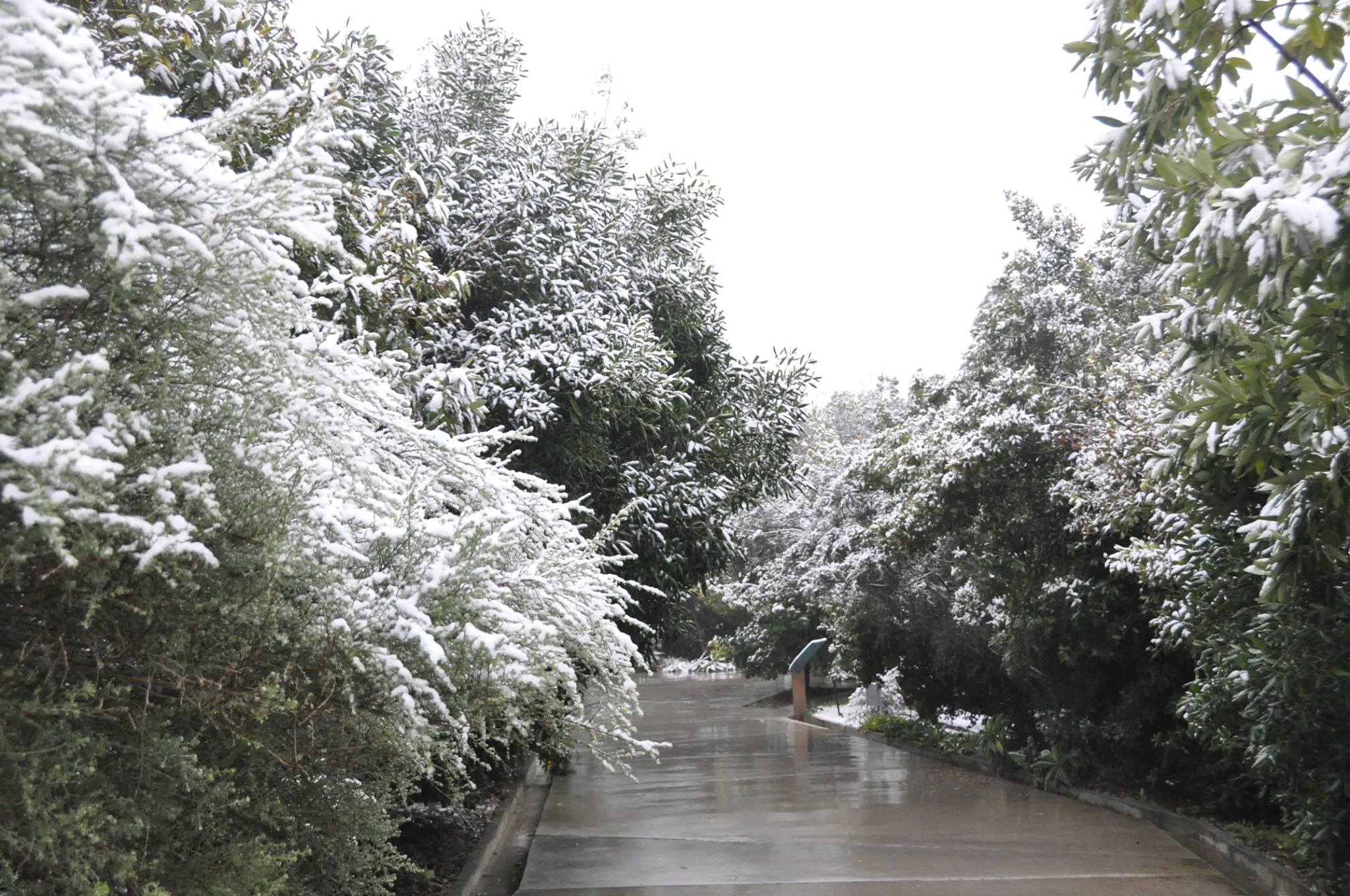 Barcelona Botanical Garden – TripHock